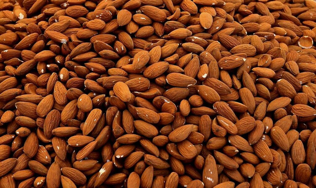 Freedom Foods takes US almond giant to court over souring milk deal ...